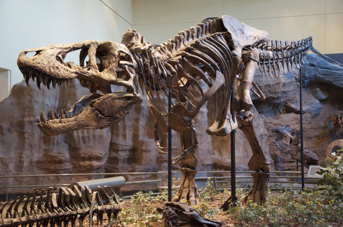 A Crocodile-like Creature Once Terrorized the Biggest, Baddest ...
