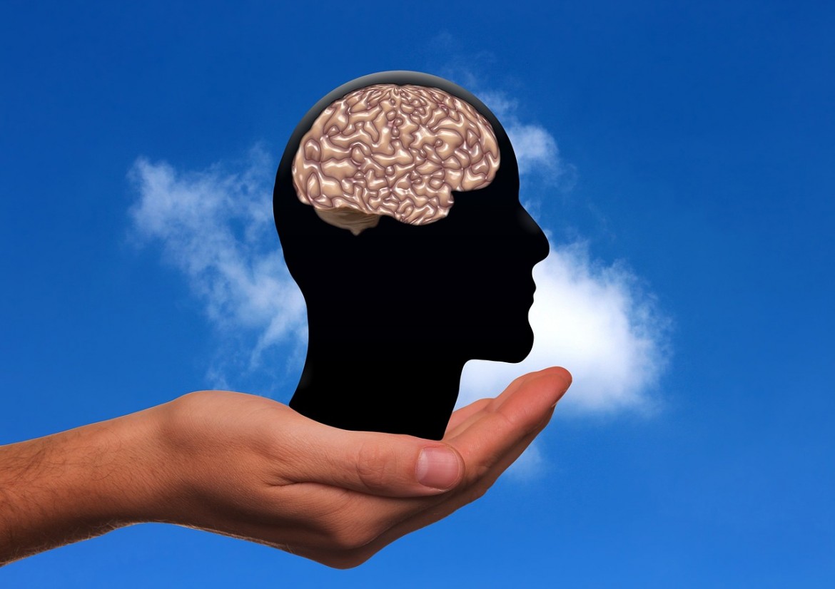 How Can You Start Flexing Your Memory Muscles? – Insanitek
