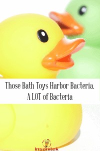 What Types of Bacteria is Your Rubber Ducky Harboring? - Insanitek