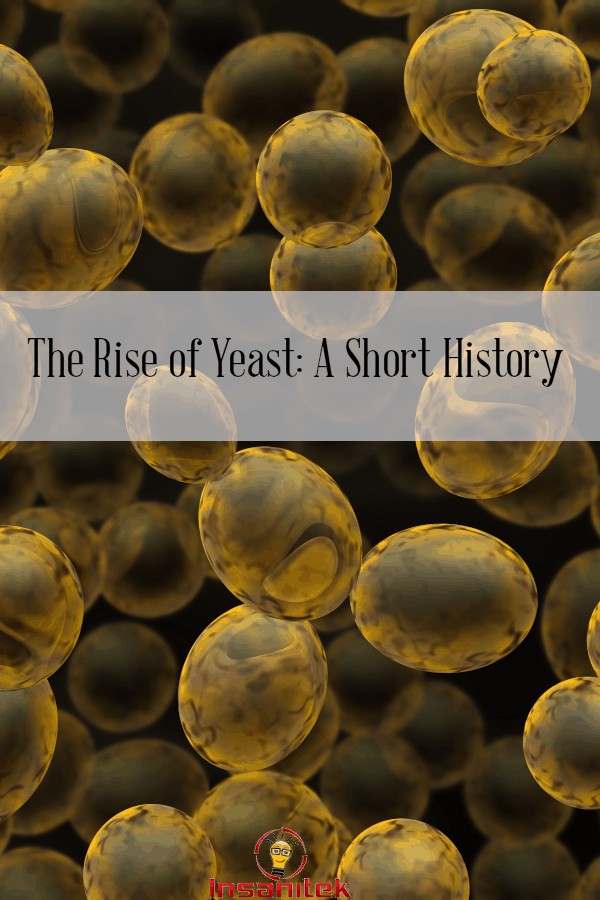 The Rise of Yeast - Insanitek