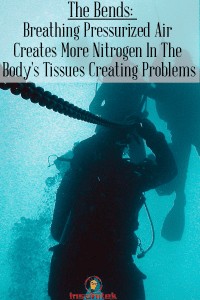 Under Pressure: How The Bends Affects the Human Body - Insanitek