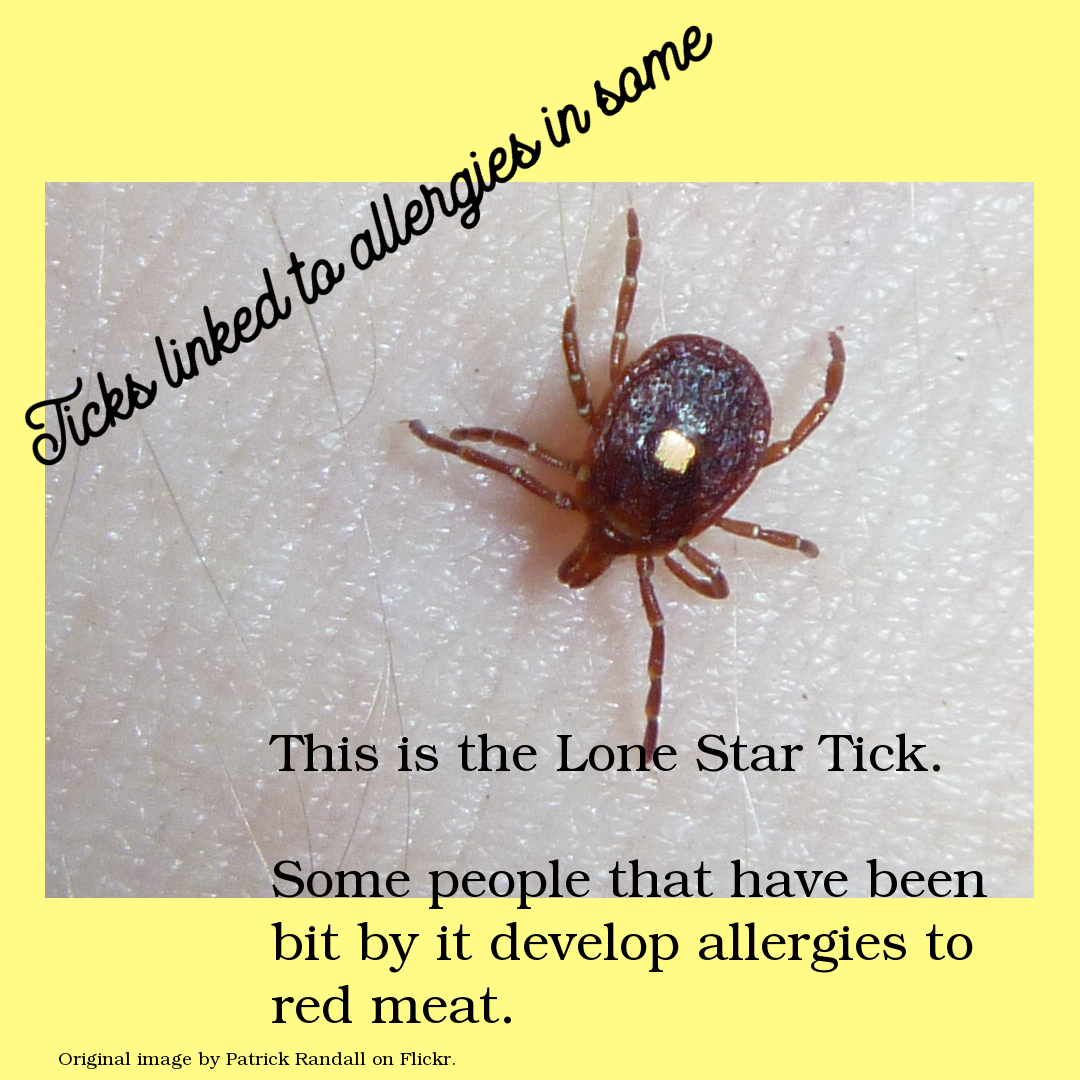 As Ticks Thrive, Red Meat Allergy Prominence Continues to Rise - Insanitek