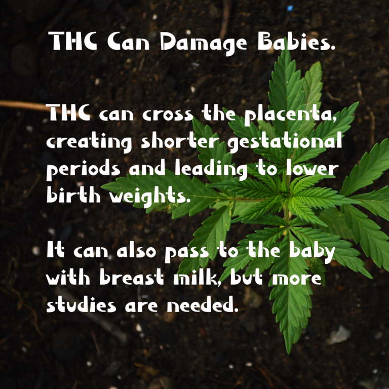 Doctors Now Advise Pregnant Women to Steer Clear of Marijuana - Insanitek