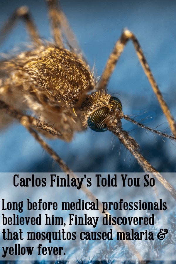 Carlos Finlay: Mosquitoes, Yellow Fever, and a Big Case of “I Told You ...