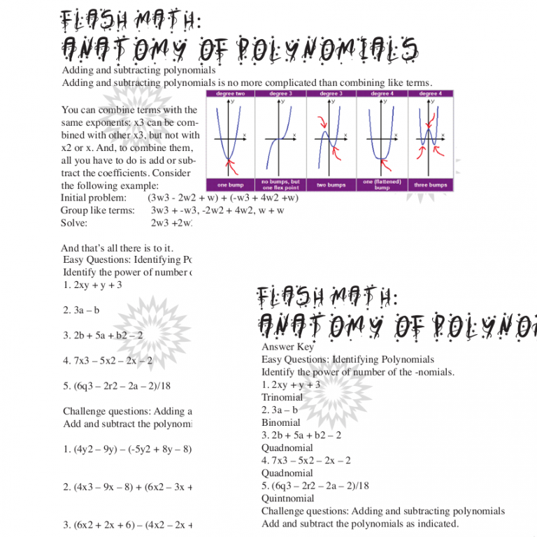 Polynomials: The Basics - Insanitek