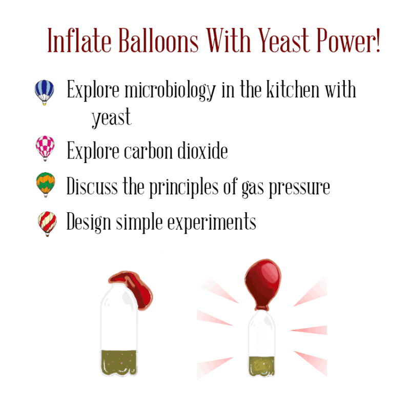 The Magic of The Microbe Called Yeast - Insanitek