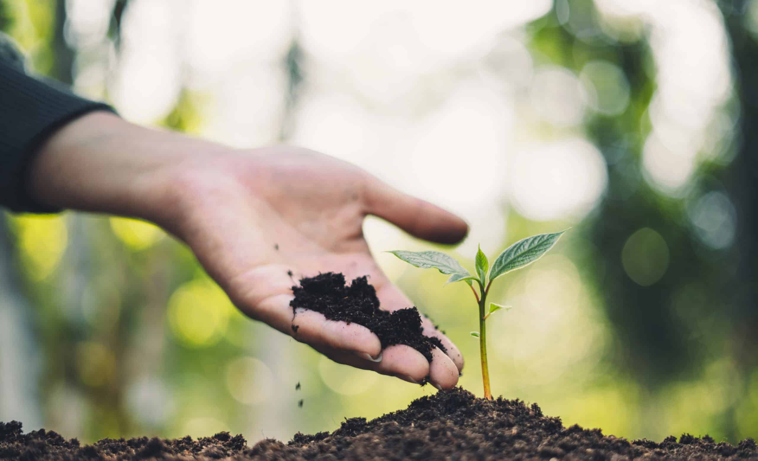 Foundations of Soil Health - Insanitek